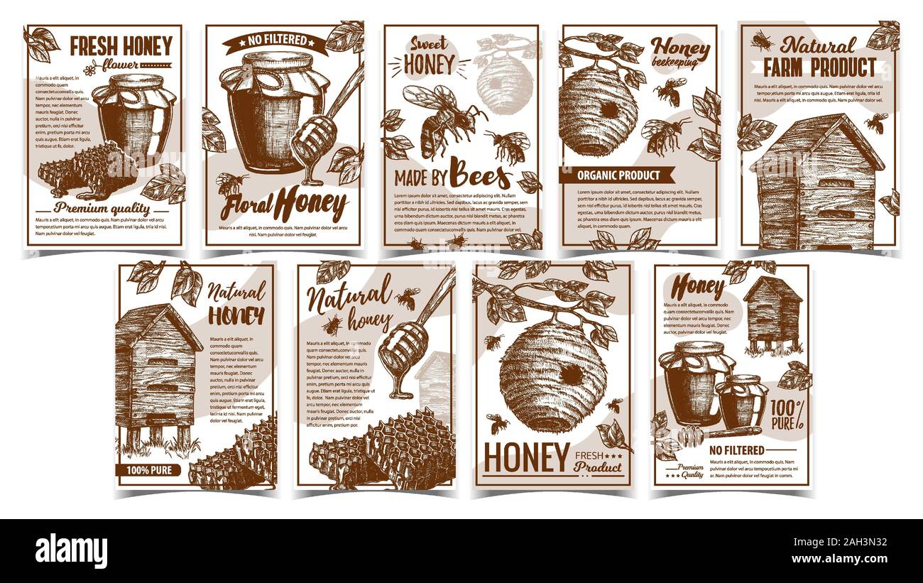 Bee Insect, Wild And Wooden Beehive Posters Vector Stock Vector Image ...