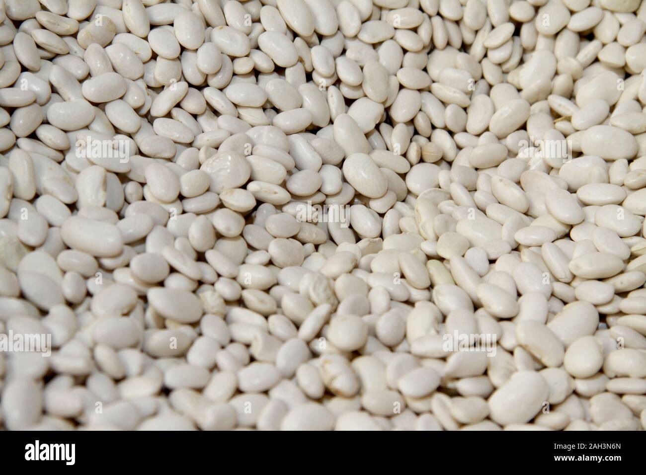 White common bean hi-res stock photography and images - Alamy