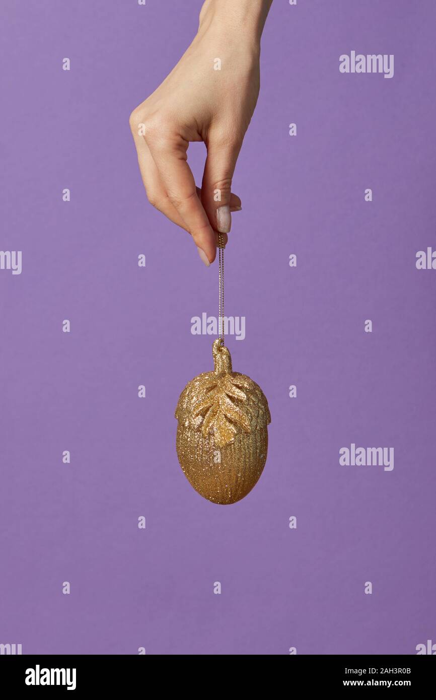 Shiny acorn hi-res stock photography and images - Alamy