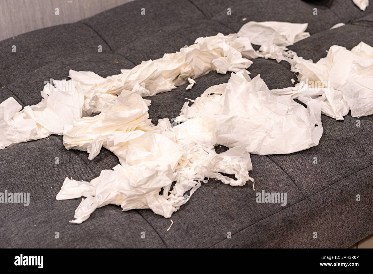 Dog toilet paper hi-res stock photography and images - Alamy