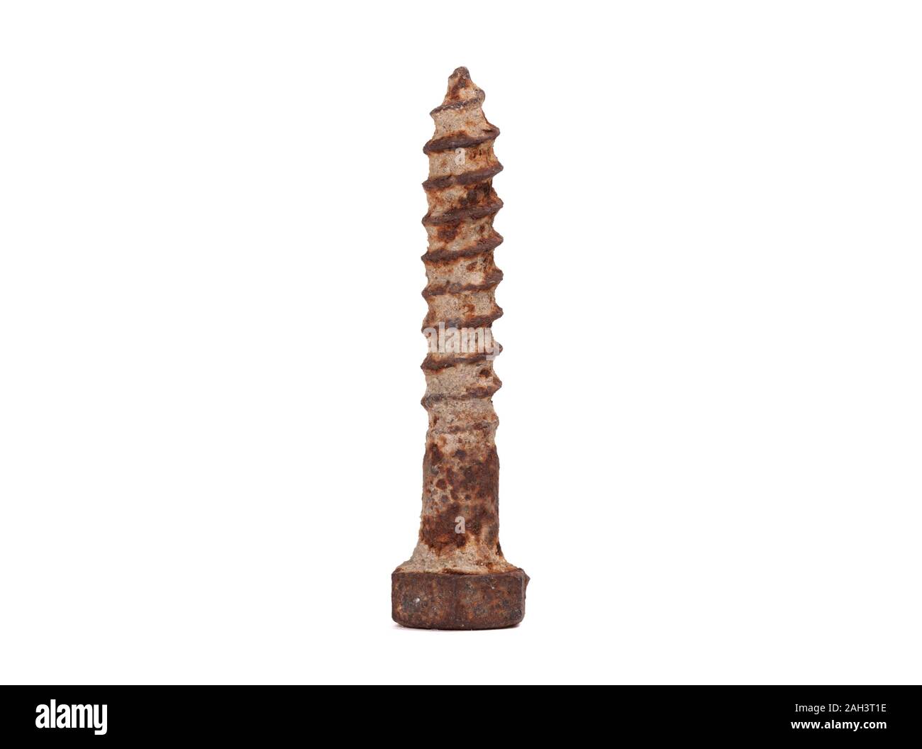 Rusty screw isolated on a white background Stock Photo - Alamy