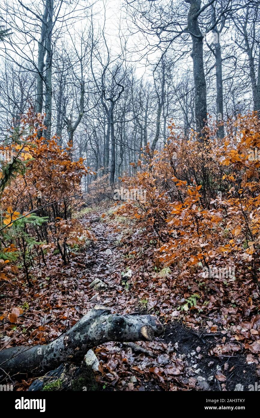 Strazov hill, Strazov Mountains in Slovak republic. Seasonal natural ...