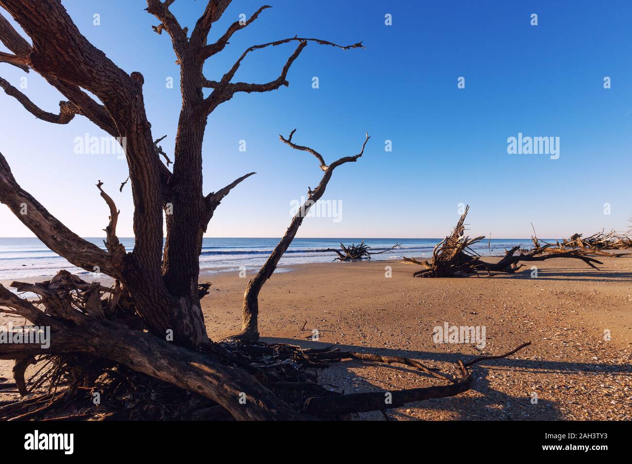 Botany Bay beach, Edisto Island, South Carolina, USA Stock Photo - Alamy
