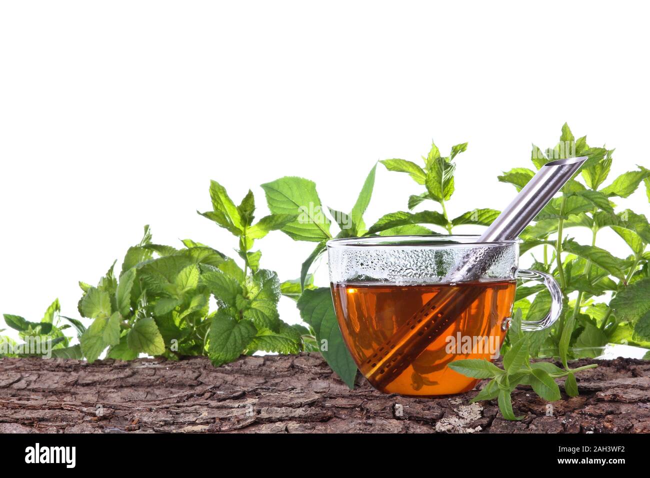 Cup of tea with peppermint, isolated Stock Photo - Alamy