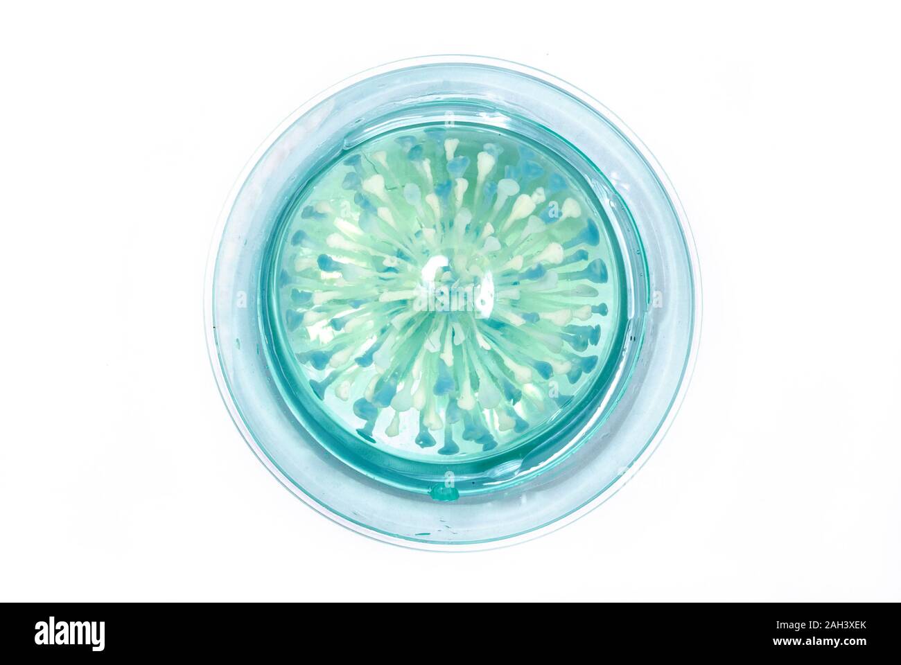 Flower Jelly Cake, 3D Jelly, Art 3D Agar Stock Photo - Alamy