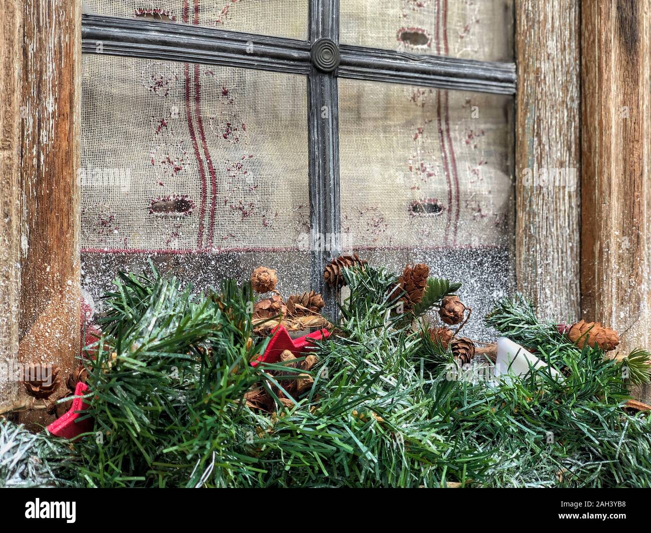 Tree branches in front building hi-res stock photography and images - Alamy