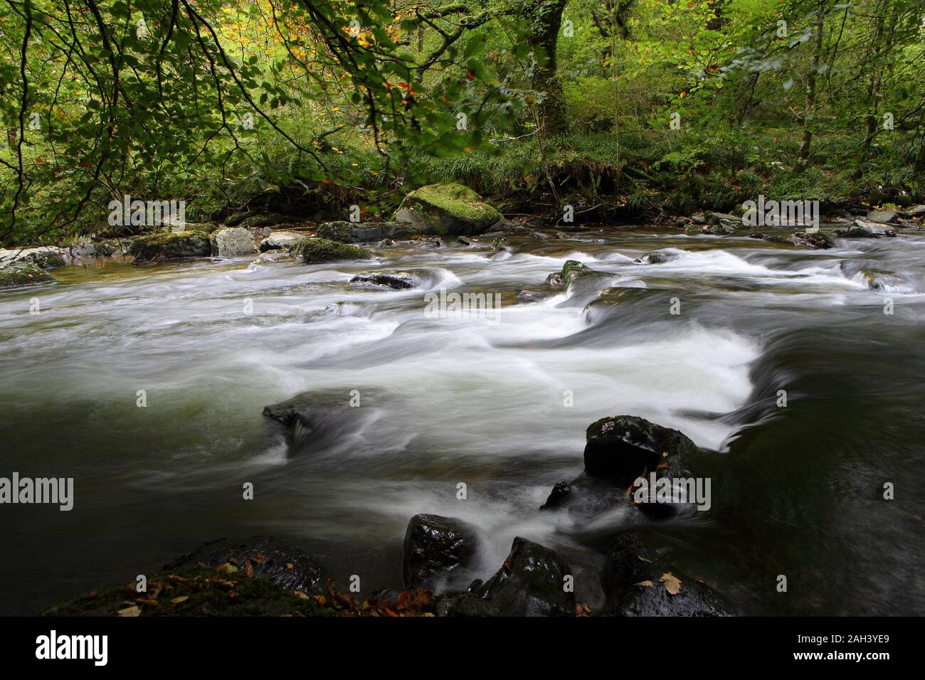 River Barle upstream from Tarr Steps, Exmoor National Park, Somerset ...
