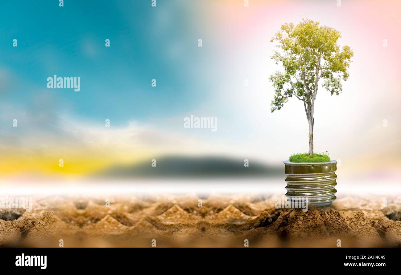 Renewable energy concept Earth Day or environment protection Hands ...