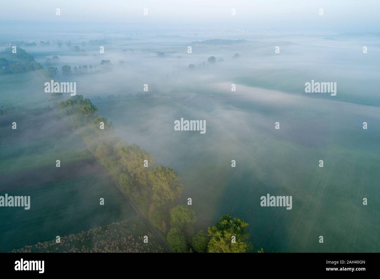 Aerial view row trees agriculture hi-res stock photography and images ...