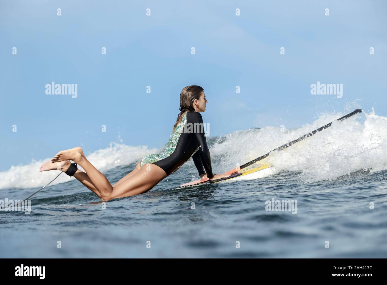 Female SUP surfer, Bali, Indonesia Stock Photo - Alamy