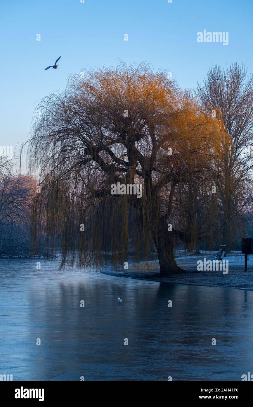 England uk cold frozen hi-res stock photography and images - Alamy