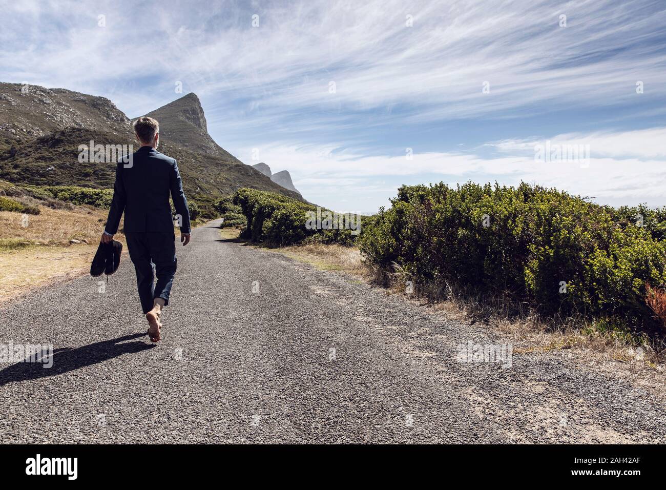 Back view of businessman walking barefoot on country road, Cape Point ...