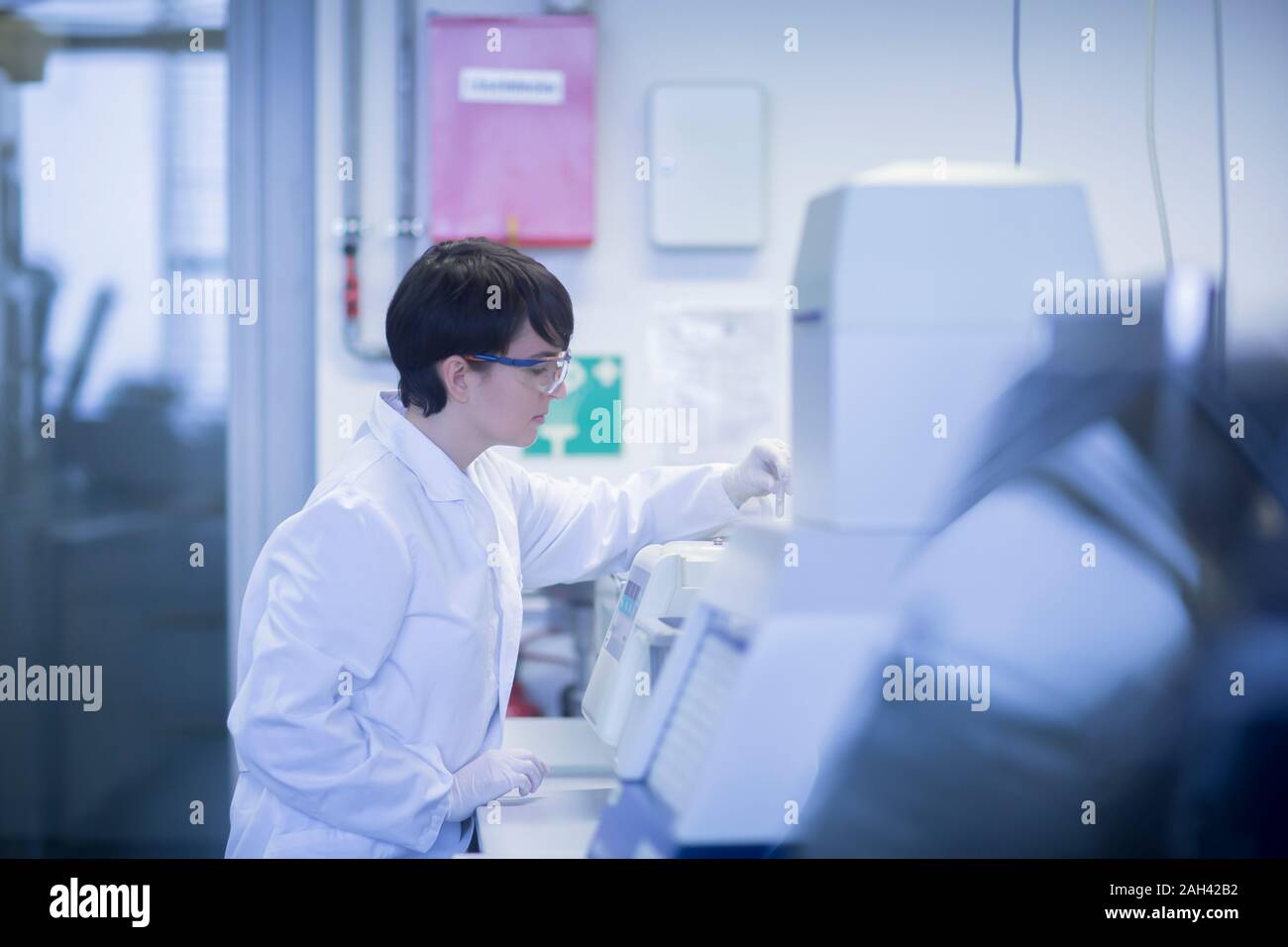 Female laboratory technician working in a laboratory Stock Photo - Alamy
