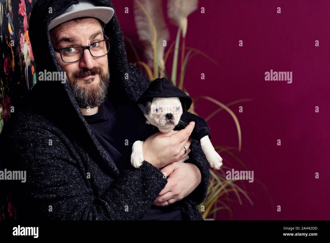 Innocence pug hi-res stock photography and images - Alamy