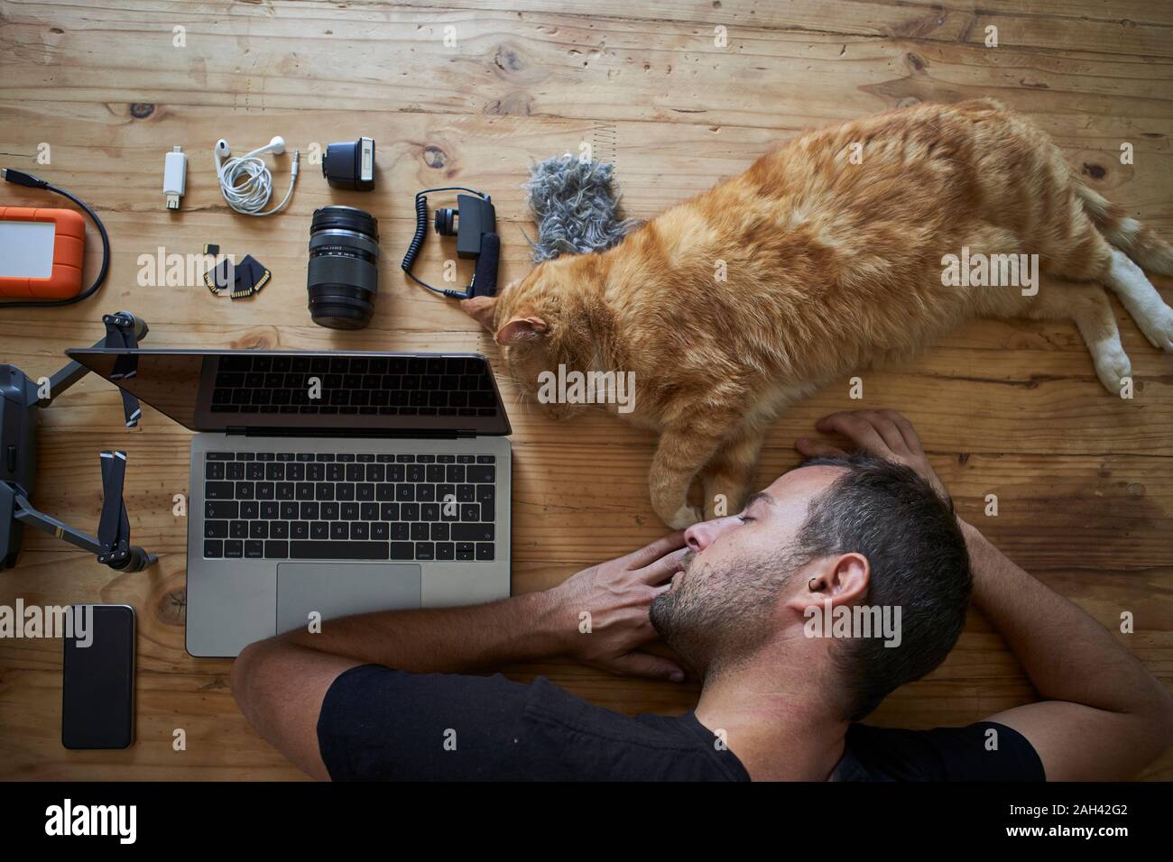 Cat sleep computer hi-res stock photography and images - Alamy