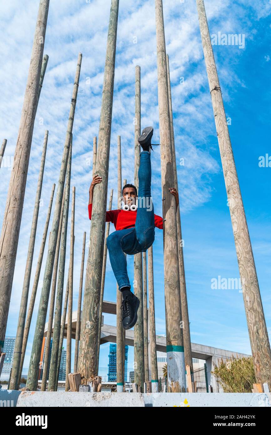 Agility poles hi-res stock photography and images - Alamy