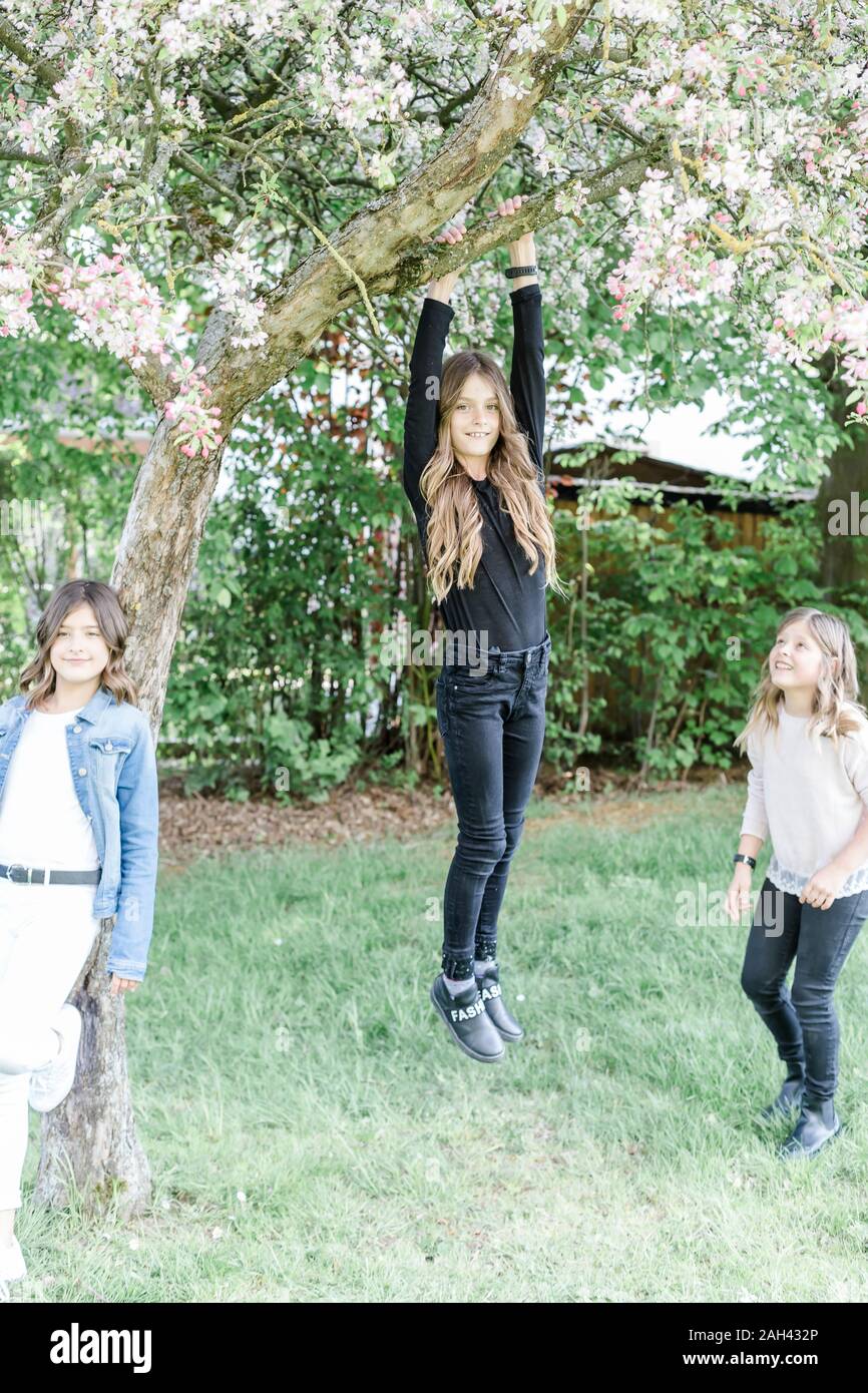 Portrait of three happy girls at a tree Stock Photo - Alamy