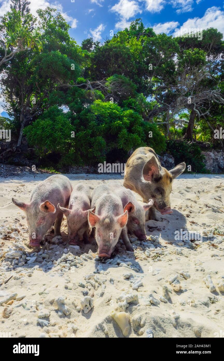 World beach hi-res stock photography and images - Alamy