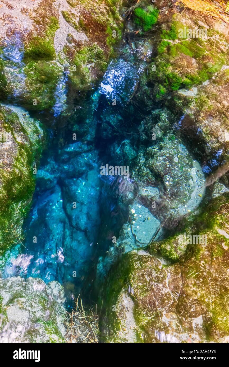 New Zealand, Oceania, North Island, Rotorua, Hamurana Springs Nature ...
