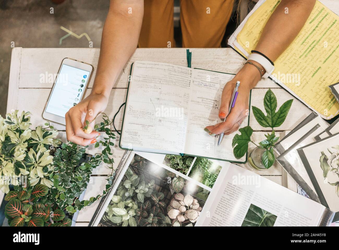 Gardening notes hi-res stock photography and images - Alamy