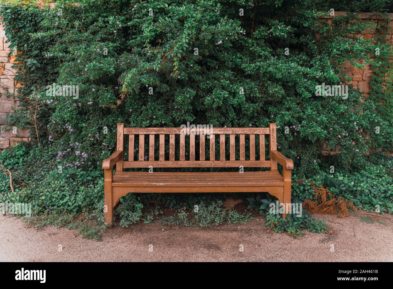 Empty wooden bench Stock Photo - Alamy