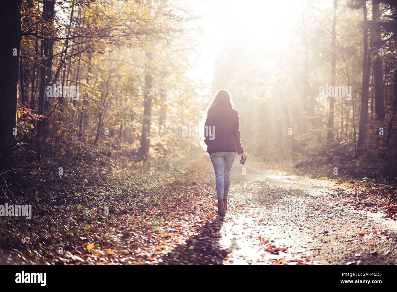 One woman back view walking woods hi-res stock photography and images ...