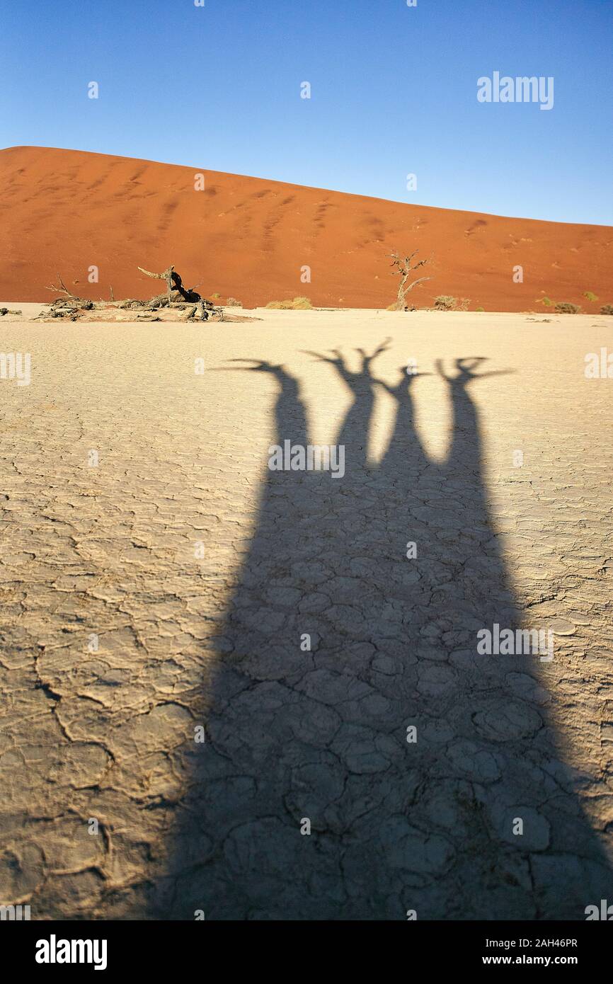 Dead tree shadow in Deadvlei at sunrise, Sossusvlei, Namib desert ...