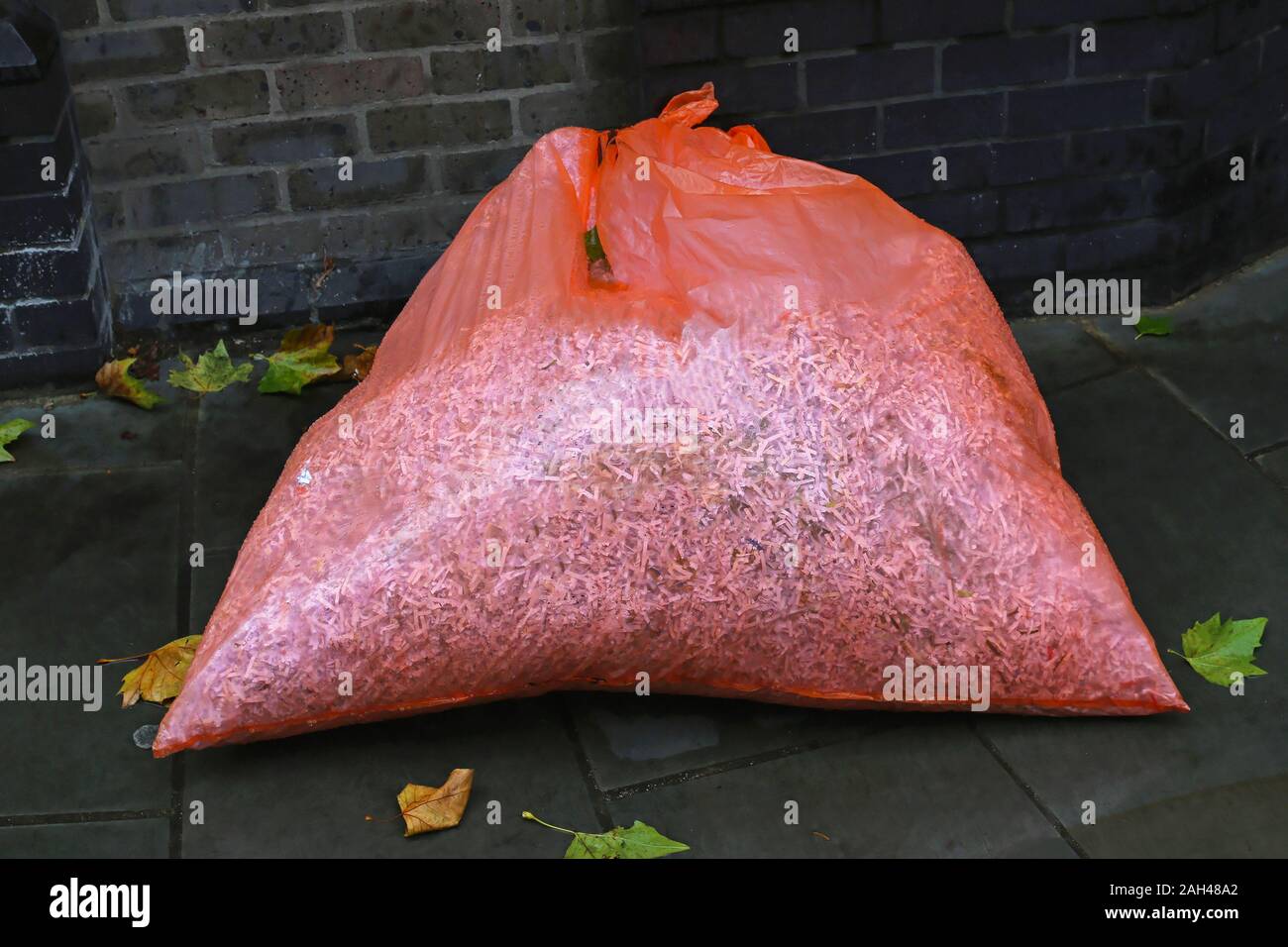Shredded paper bags hi-res stock photography and images - Alamy