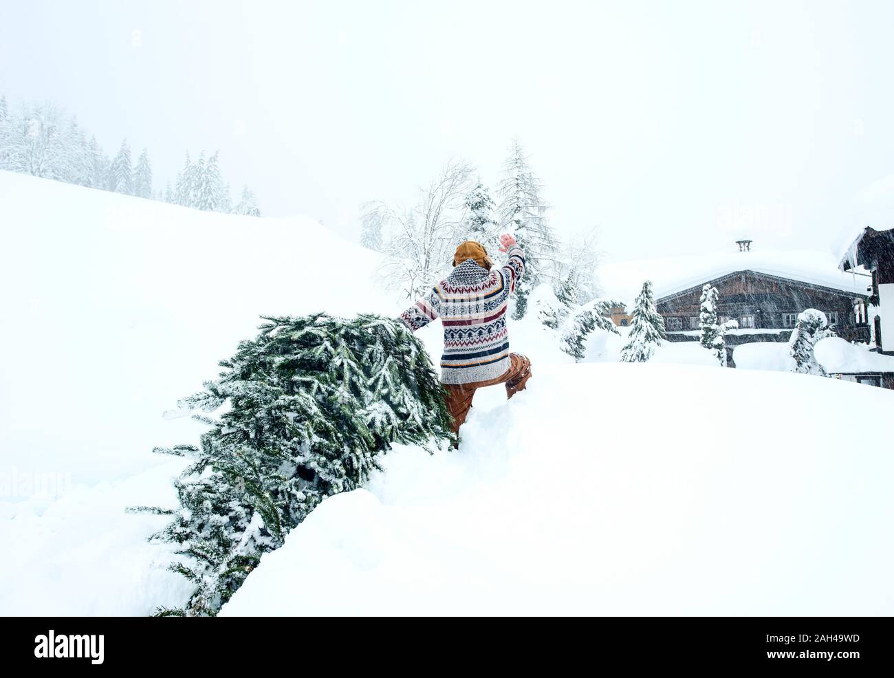 Christmas tree pulling snow hi-res stock photography and images - Alamy
