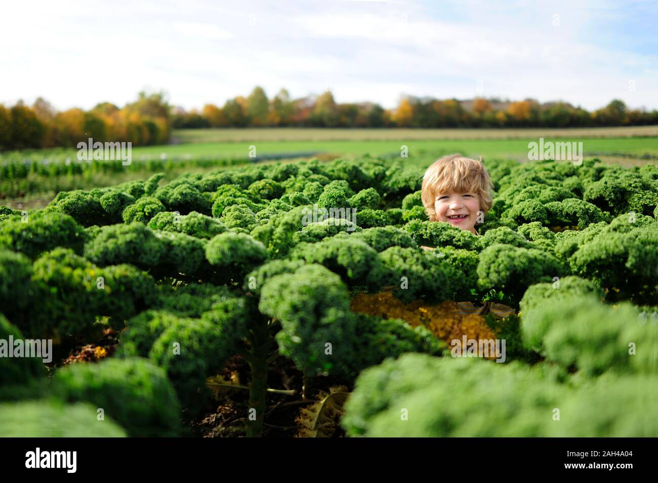 Boy in a kali field Stock Photo - Alamy