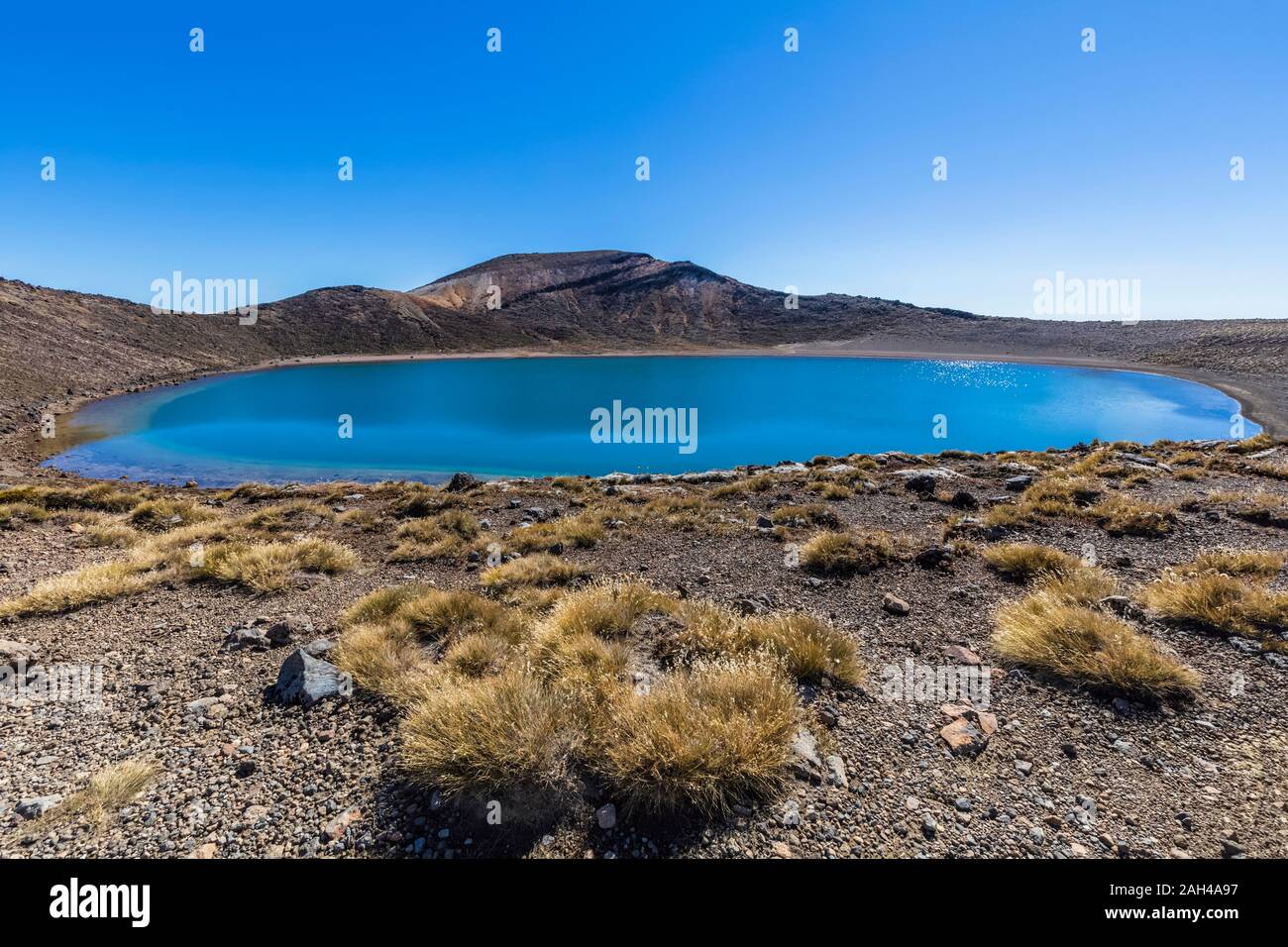 New Zealand, North Island, Clear sky over blue lake in North Island ...