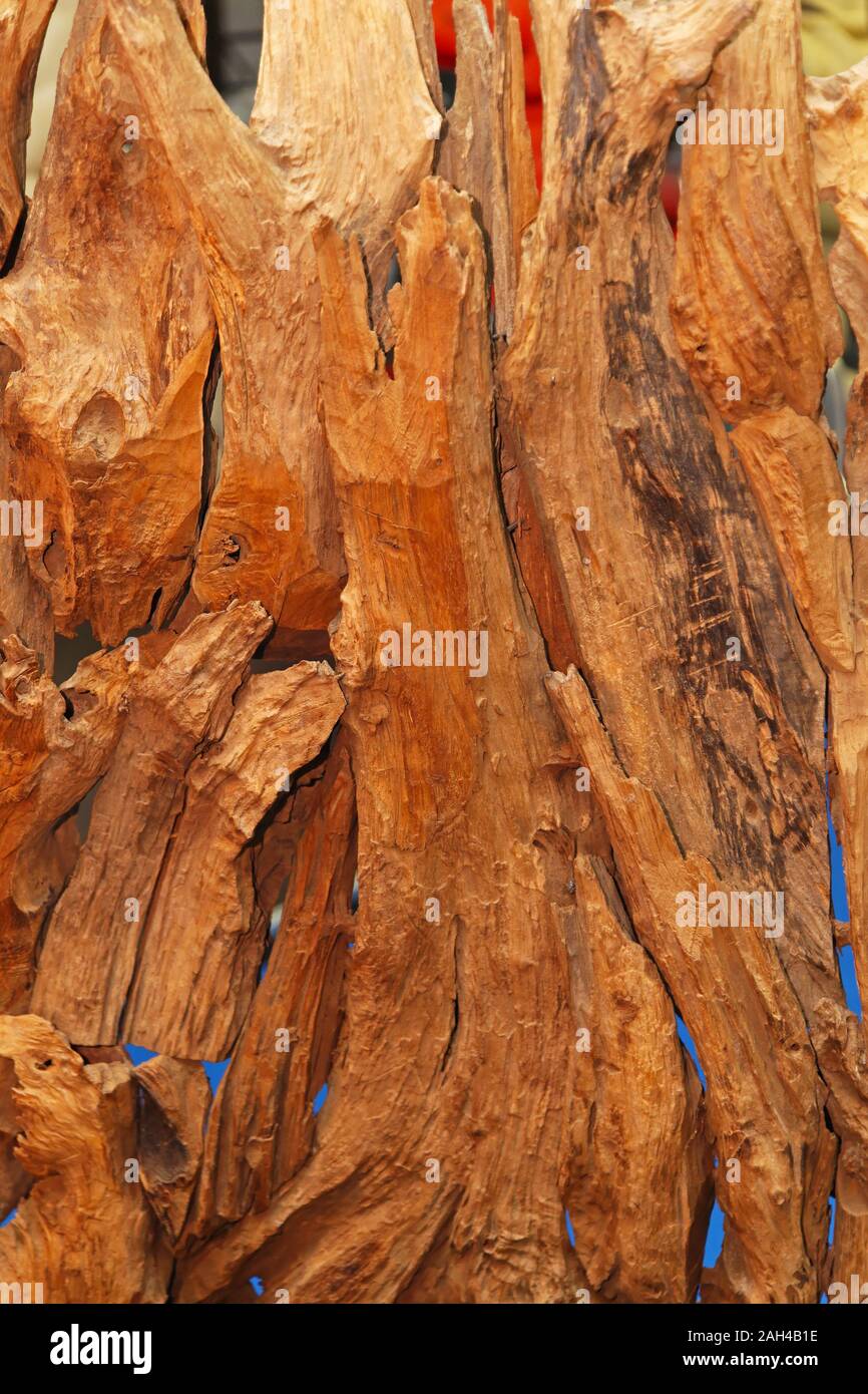 Old stump wood material for vintage furniture Stock Photo - Alamy
