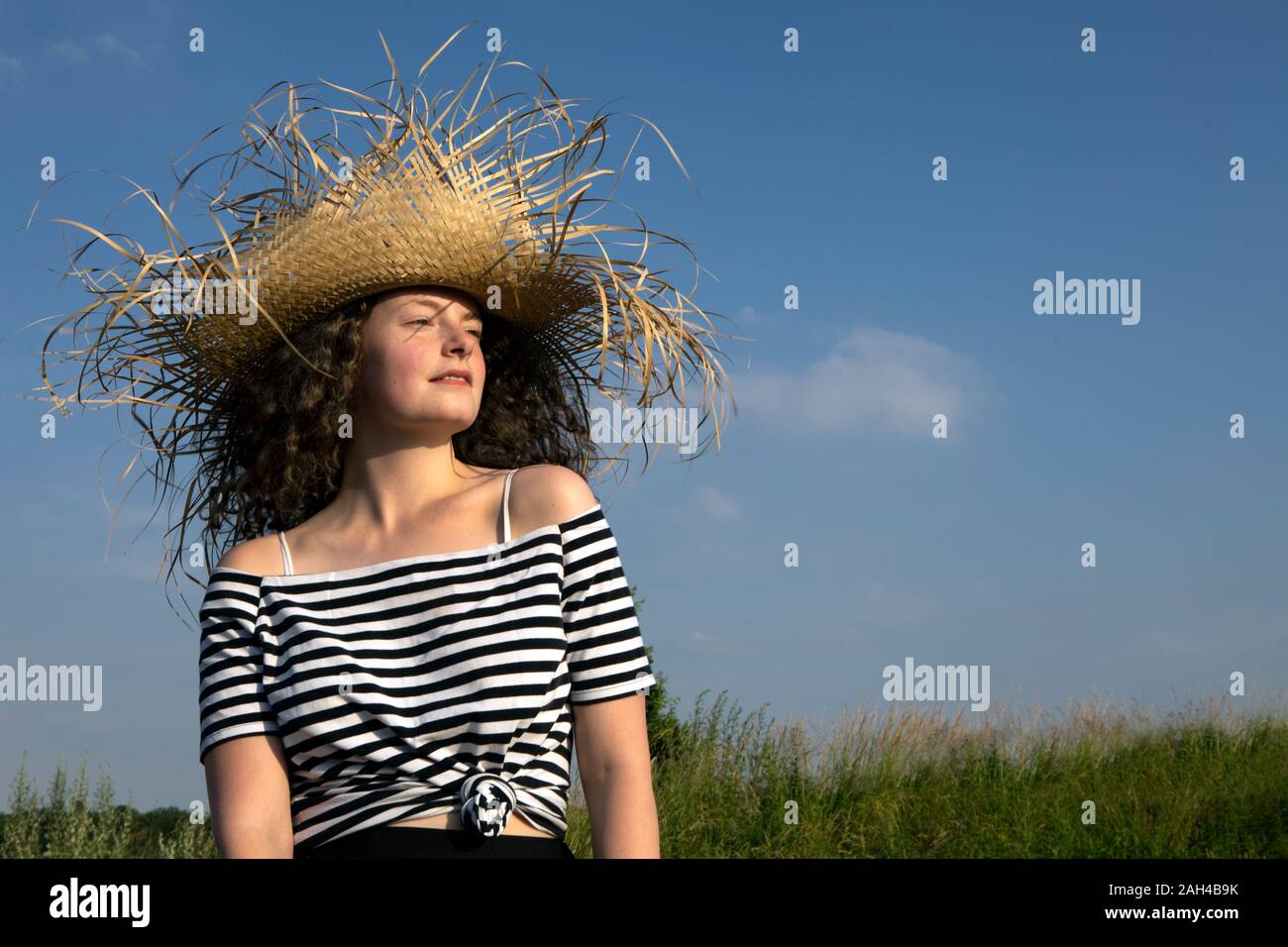 Frayed hair hi-res stock photography and images - Alamy