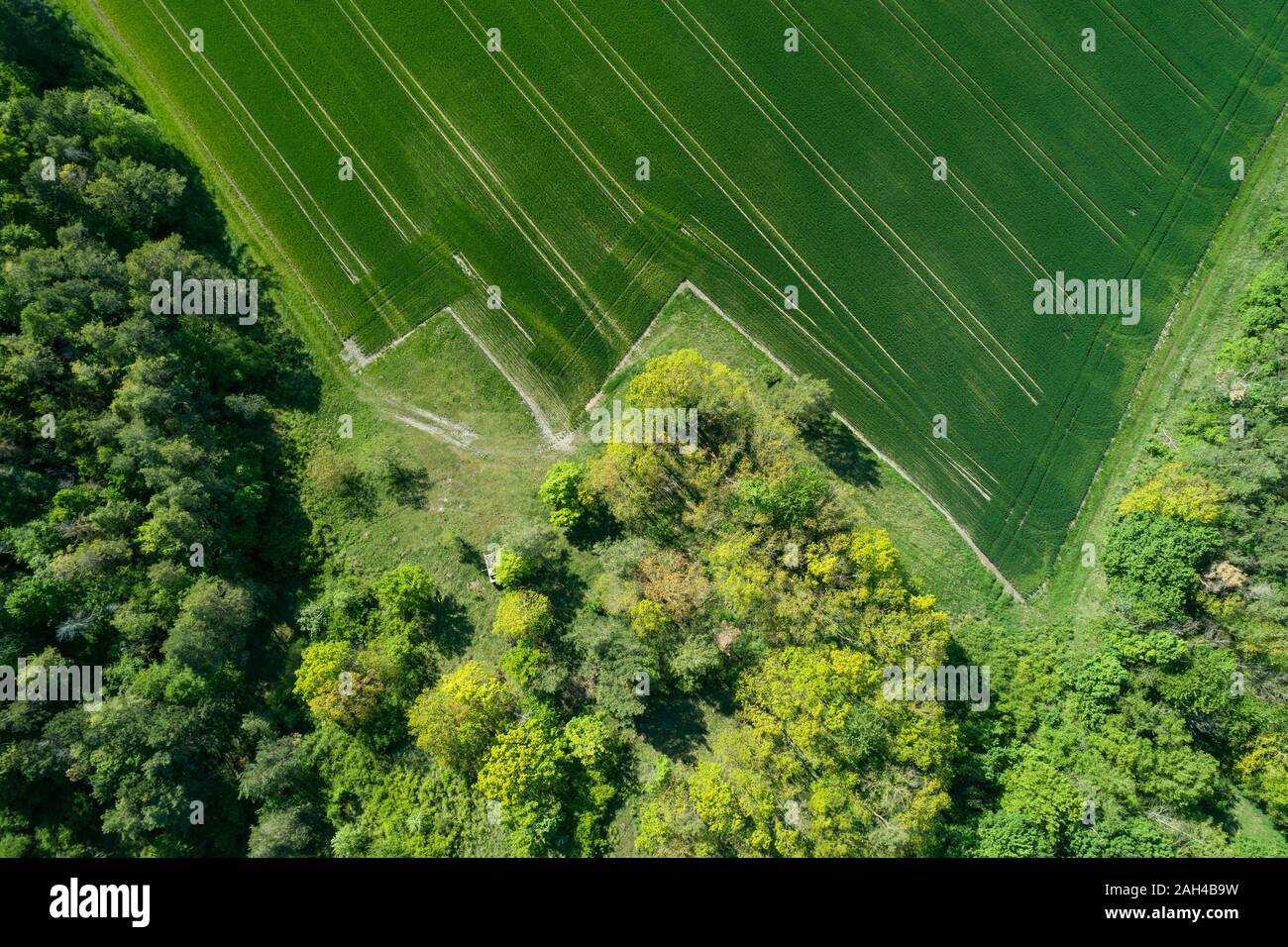 Aerial photography green forest field hi-res stock photography and ...