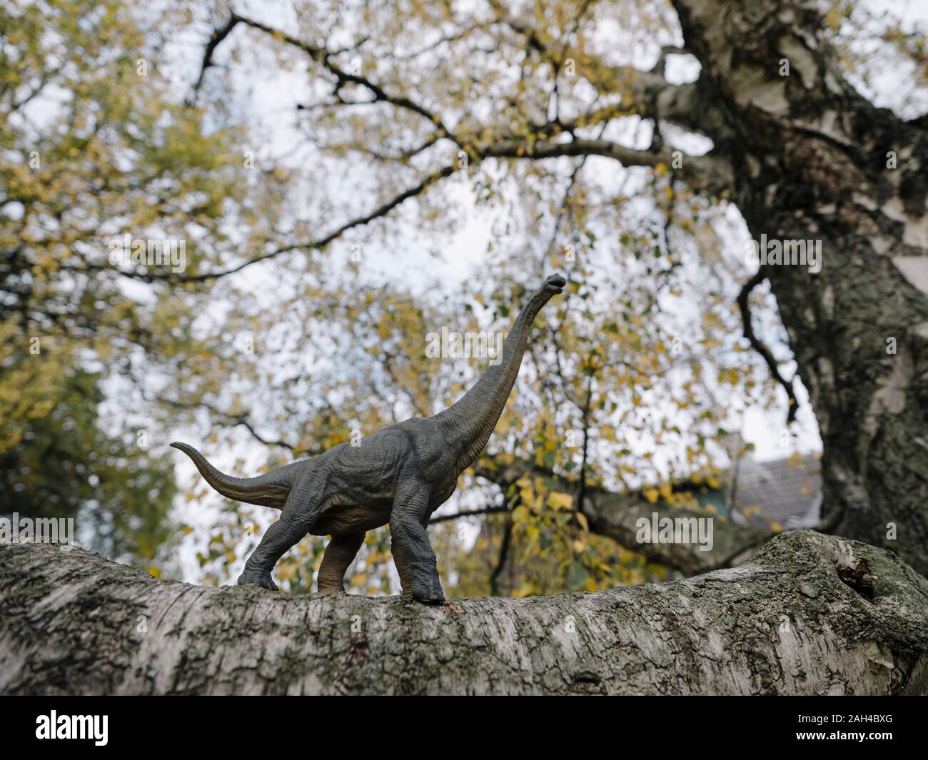 Dinosaur figurine on a tree in autumn Stock Photo - Alamy