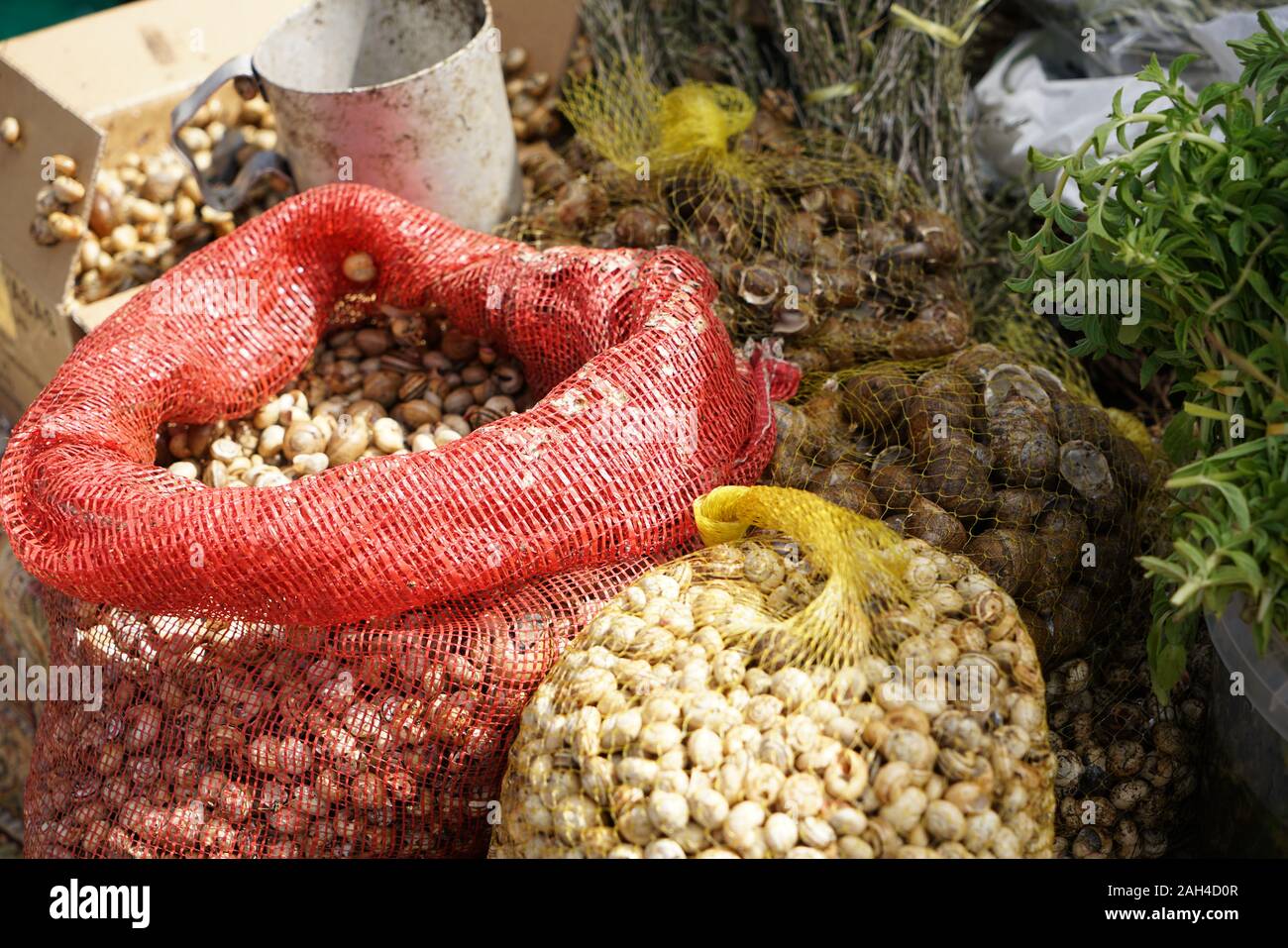 Snails photographed for consumption on a market in Portugal Stock Photo ...