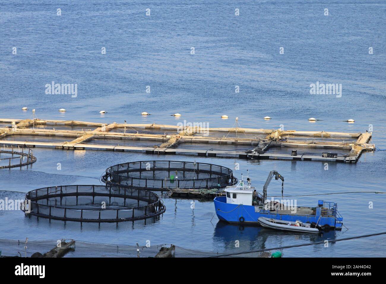 Tuna fishing nets hi-res stock photography and images - Alamy