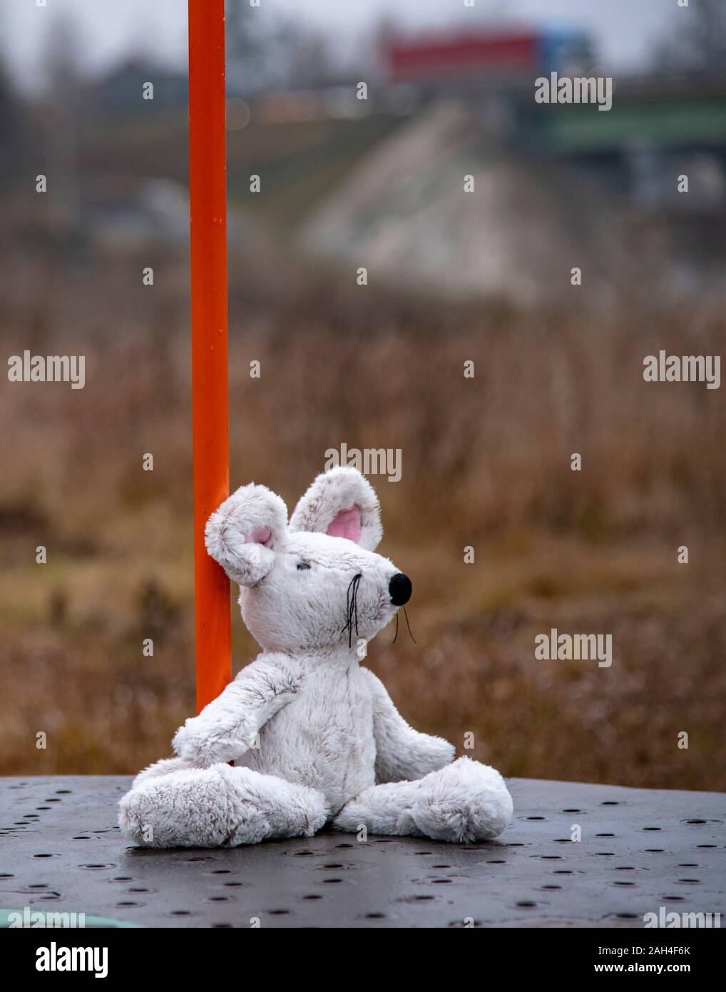 Merry go round movie hi-res stock photography and images - Alamy