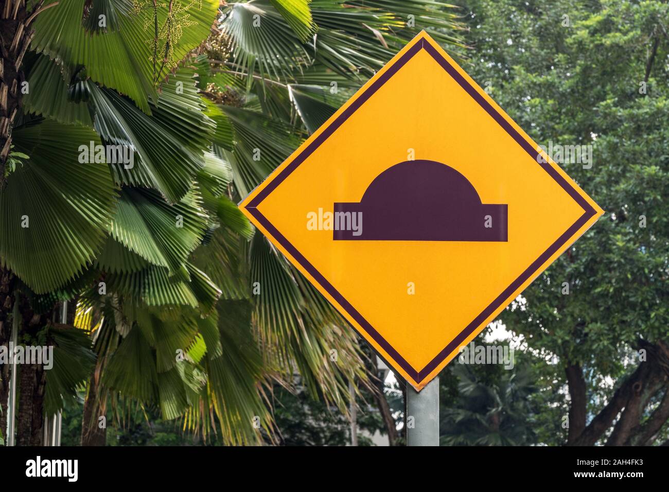 Artificial road roughness; car speed limit sign among tropical ...
