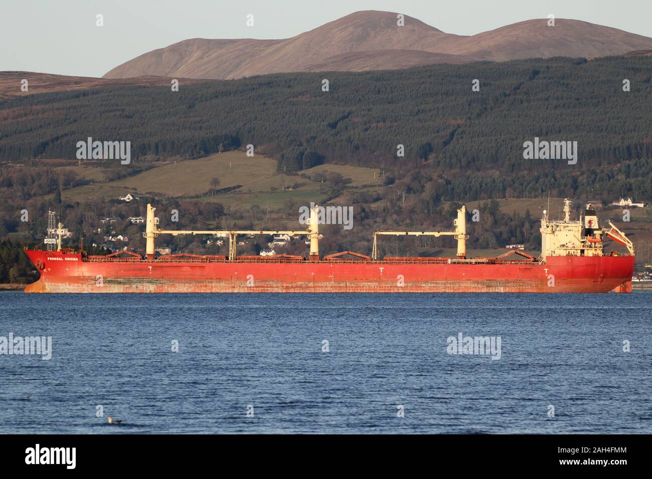Federal Oshima, a Lake freighter operated by Fednav, at anchor off ...