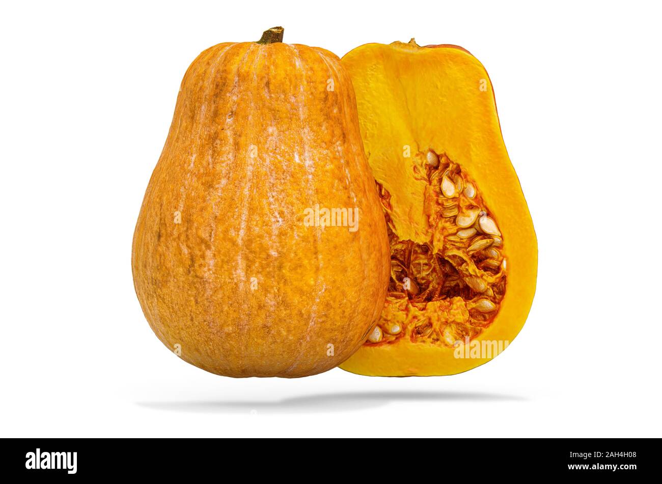 Squash, cross-section. 3d rendering with realistic texture isolated on ...