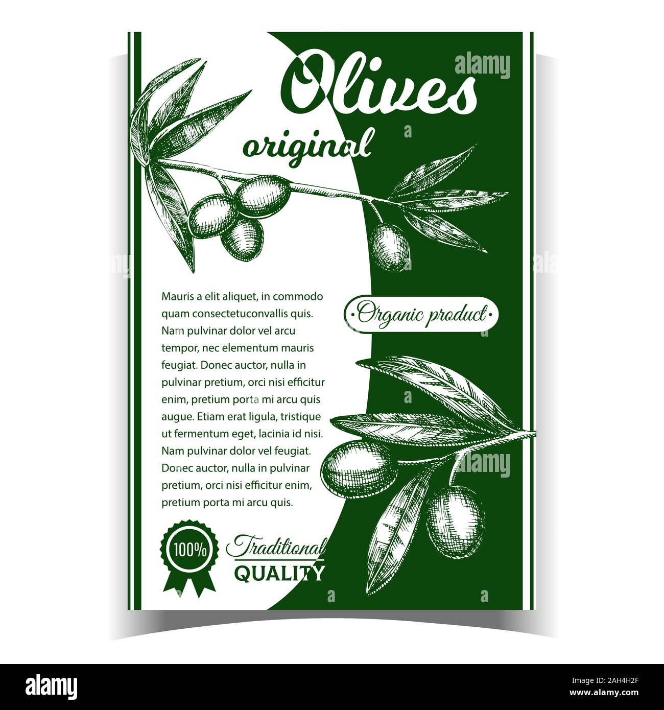 Olives Original Organic Product Poster Vector Stock Vector Image & Art ...