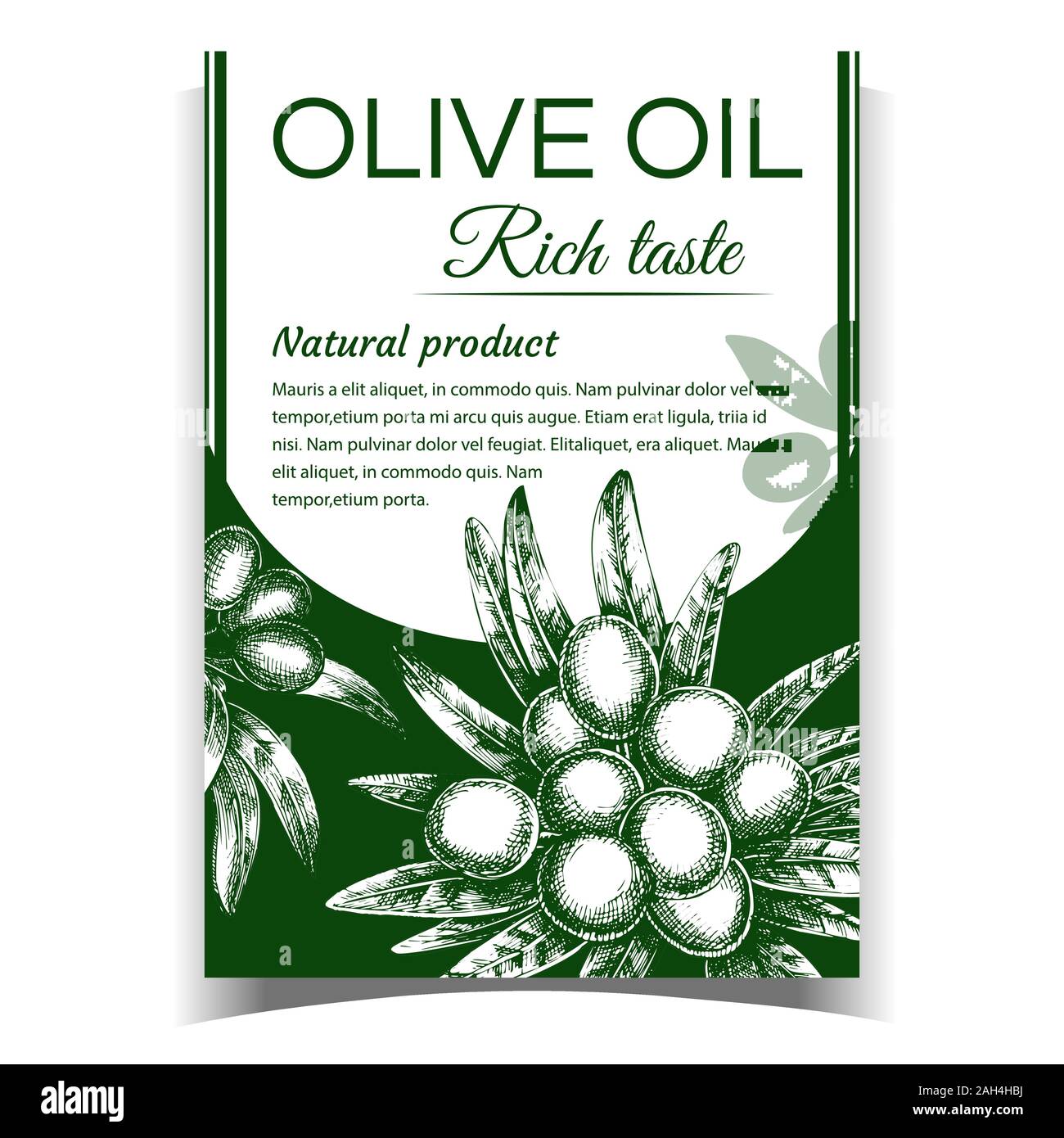 Agricultural Olive Tree Branch on Poster Vector Stock Vector Image ...