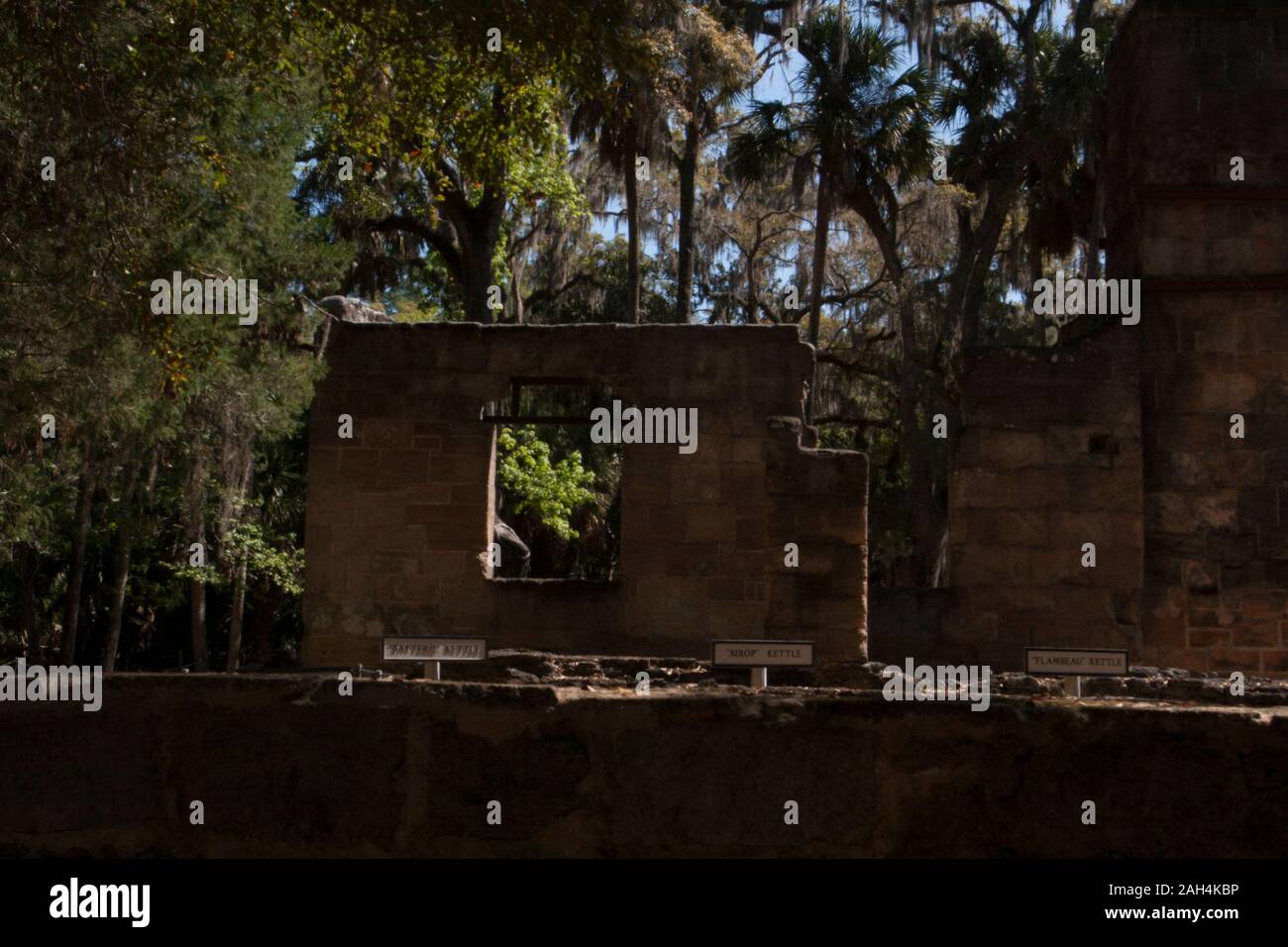 Bulow Plantation Ruins, Florida Stock Photo - Alamy