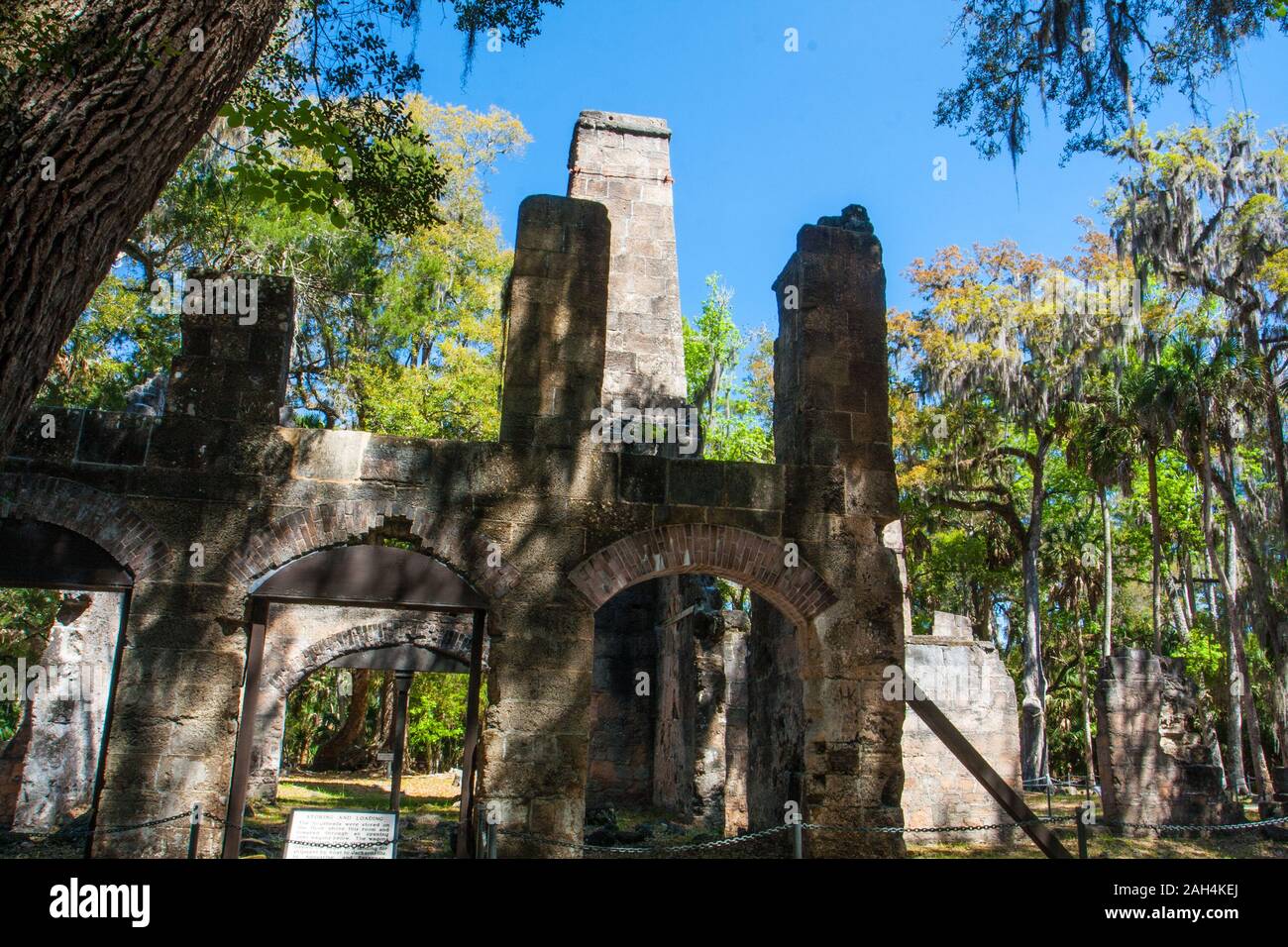 Bulow Plantation Ruins, Florida Stock Photo - Alamy