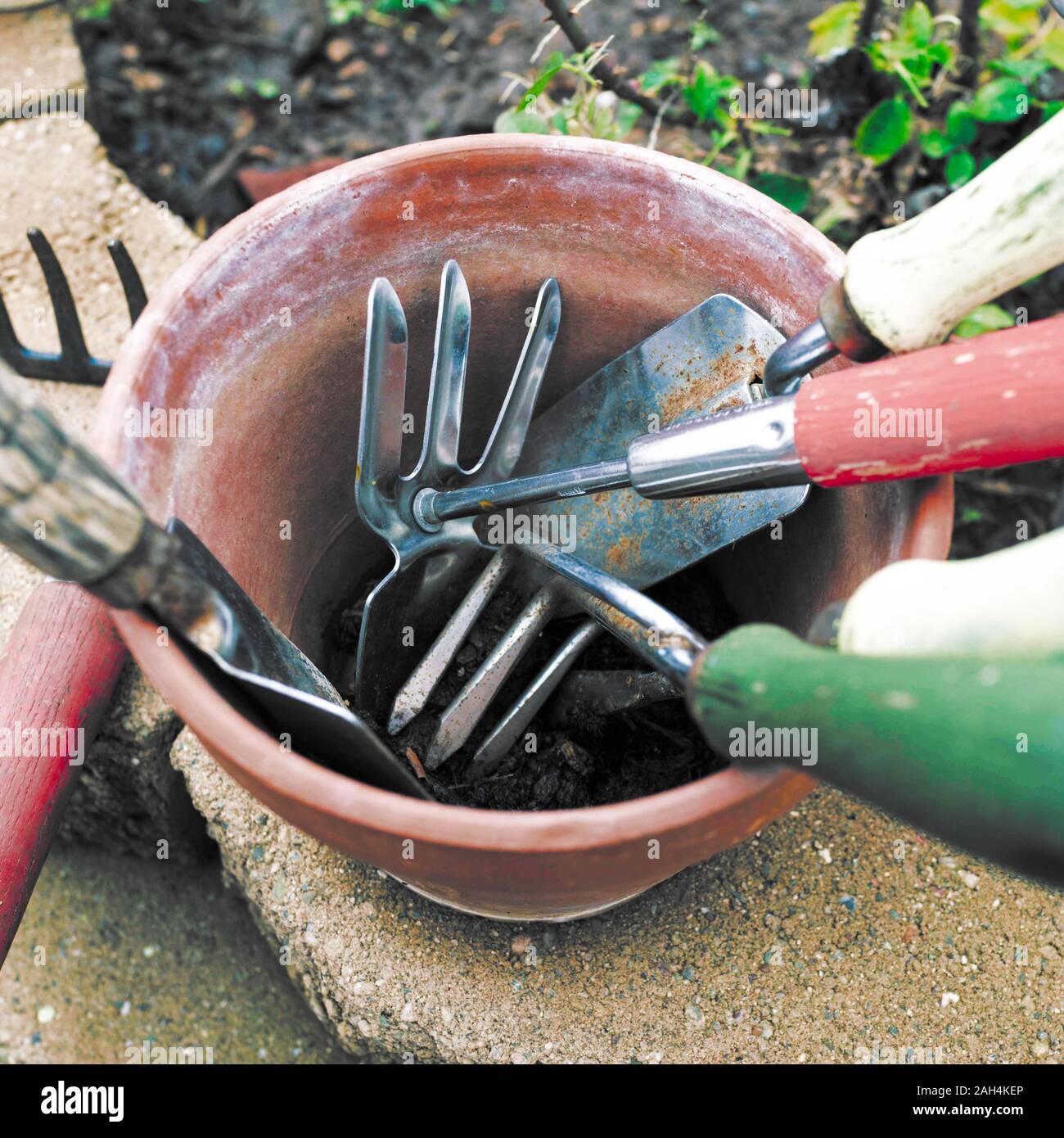 Gardening tools in a pot Stock Photo - Alamy