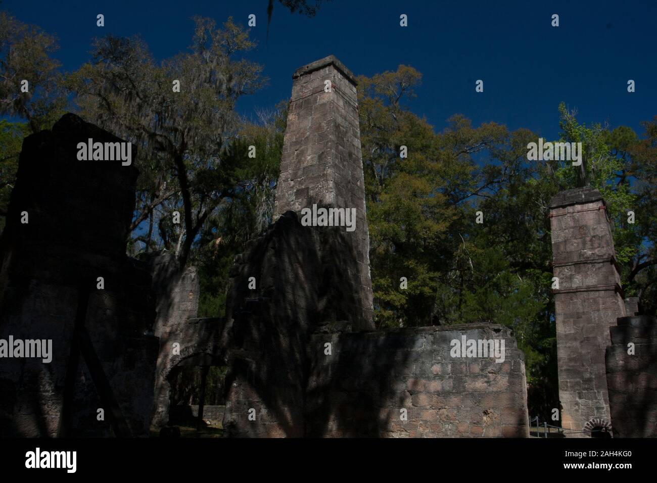 Bulow plantation ruins state park hi-res stock photography and images ...