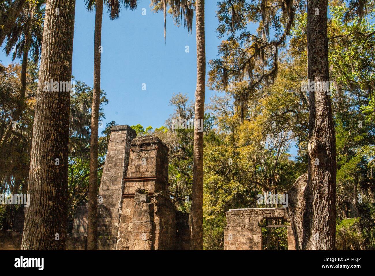 Bulow Plantation Ruins, Florida Stock Photo - Alamy