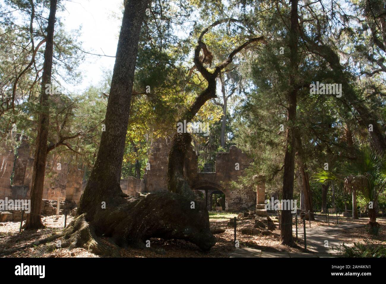 Bulow Plantation Ruins, Florida Stock Photo - Alamy
