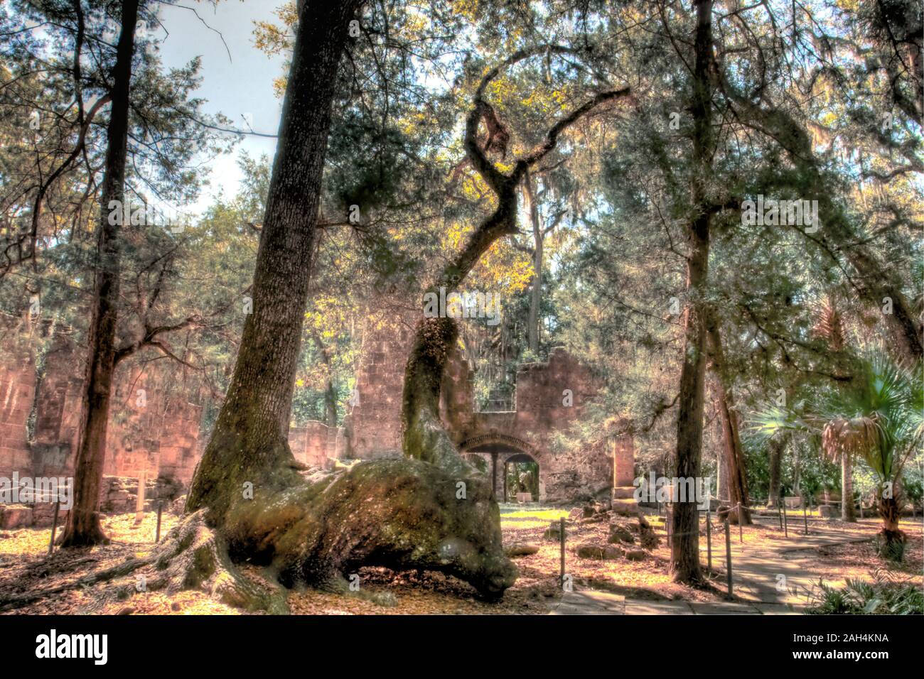 Bulow Plantation Ruins, Florida Stock Photo - Alamy